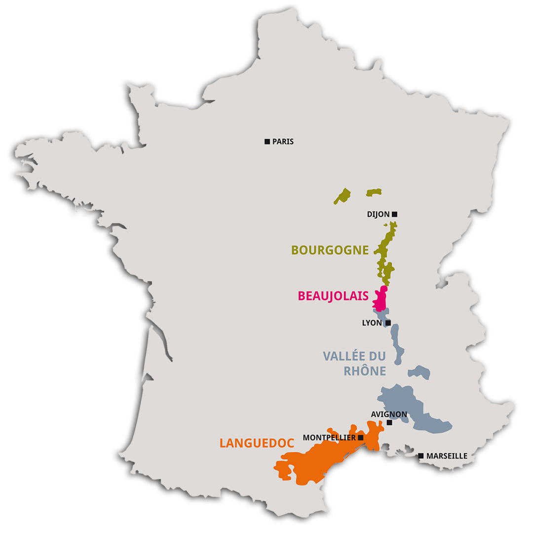 MLC | SAVDVF - Sourcing & Négoce de Vins en Bourgogne